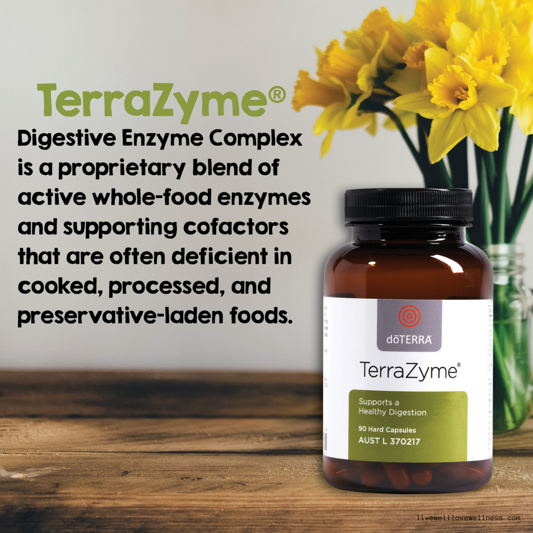 Natural Digestive Support with TerraZyme - LIVE WELL LOVE WELLNESS