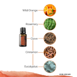 Why Everyone is using On Guard Oil to Support a Healthy Immune System