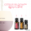 Citrus Bloom Diffuser Blends - LIVE WELL LOVE WELLNESS