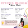 Citrus Bloom Diffuser Blends - LIVE WELL LOVE WELLNESS