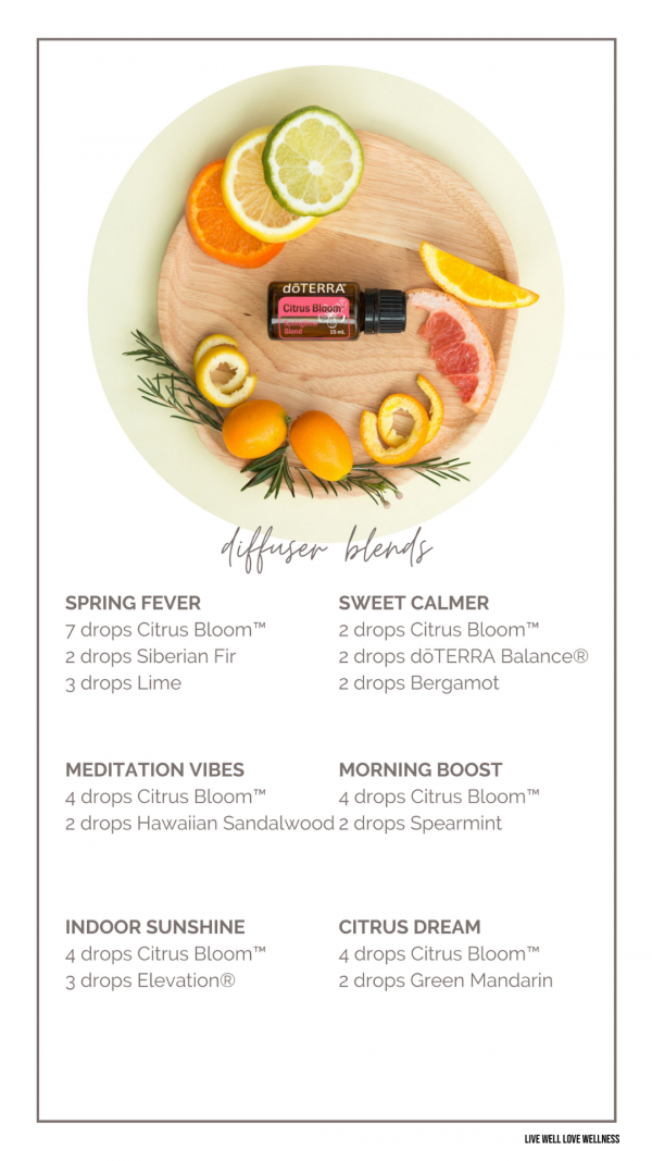 Citrus Bloom Diffuser Blends - LIVE WELL LOVE WELLNESS