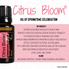 Citrus Bloom Diffuser Blends - LIVE WELL LOVE WELLNESS